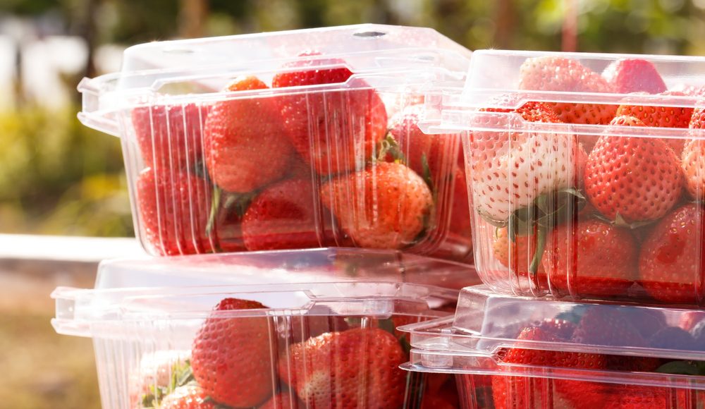 Hilton Food Group wraps up quarter in line with expectations - UK ...